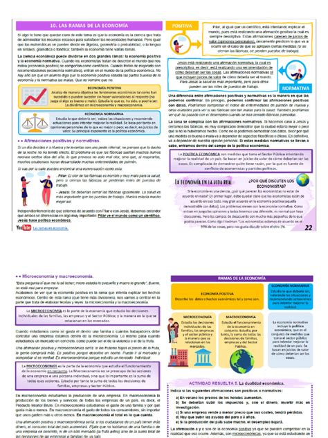 Ramas De La Economía Pdf