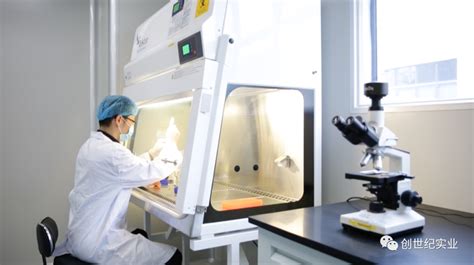 Silicone Sealant Testing Terminology Acetic Structural Silicone Sealant