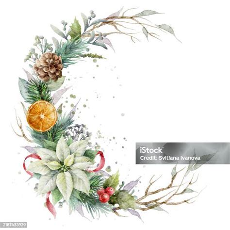 흰색 포인세티아 꽃 전나무 원뿔 녹색 잎 오렌지 조각과 함께 크리스마스 수채화 화환 0명에 대한 스톡 벡터 아트 및 기타 이미지 0명 12월 갈란드 장식품 Istock