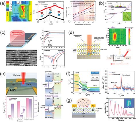 Ultrafast Laser Processing Of 2d Materials Novel Routes To Advanced Devices Emelianov 2024