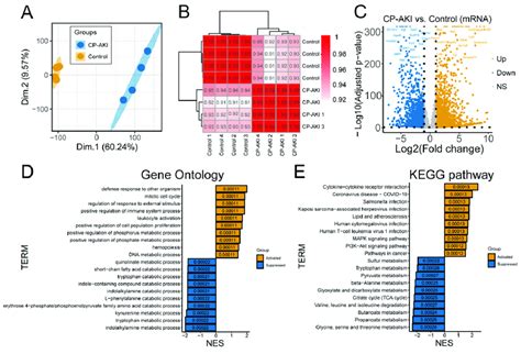 Expression Profiles Revealed By Whole Transcriptome RNA Sequencing Download Scientific Diagram