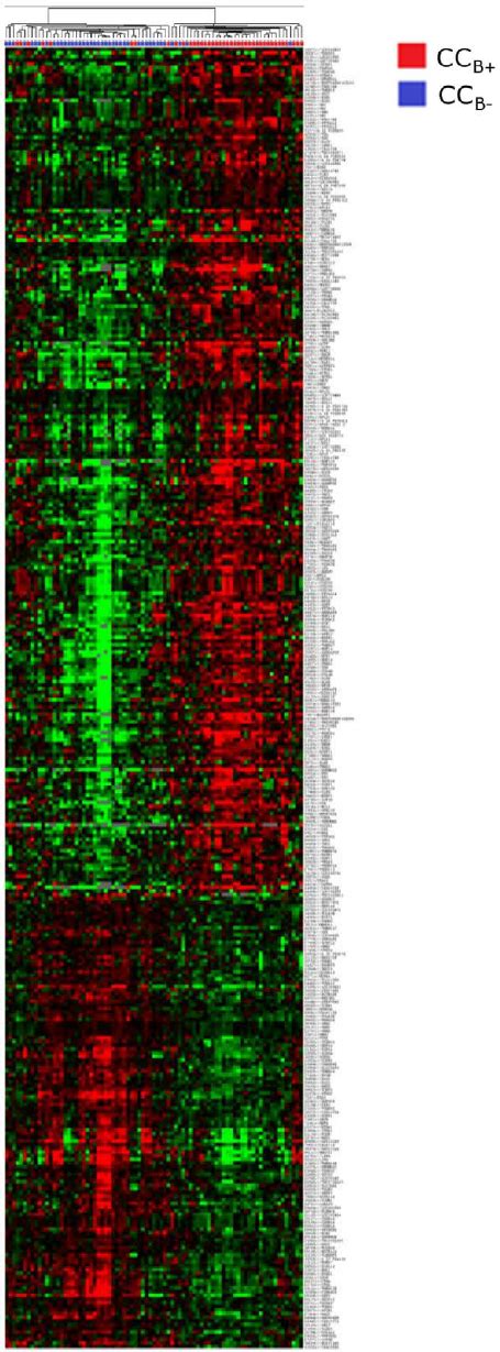 Heat Map And Cluster Dendograms Of Gene Clusters Differentially