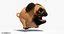 Character Rig Pug D Model Turbosquid