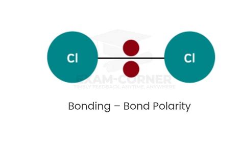 Bond Polarity Exam Corner