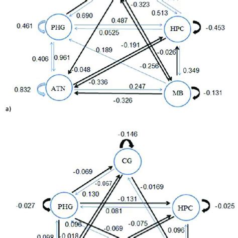 Showing The Optimal Extracted Final Model Of Effective Connectivity Download Scientific