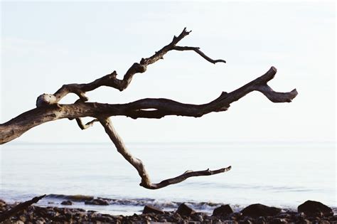 Git 브랜치 전환하는 방법