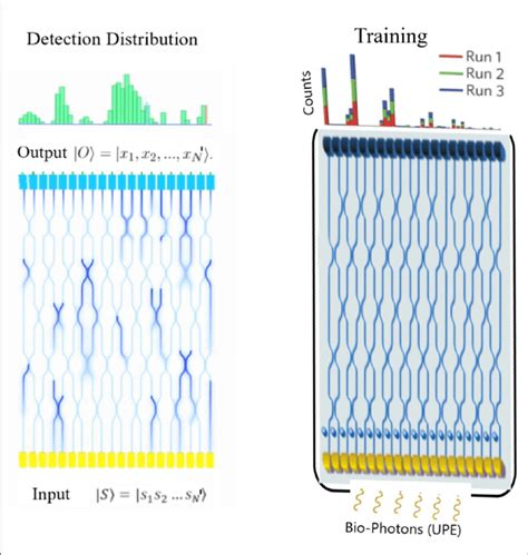 On Chip Optical Interferometer With N Inputs And N Outputs The Download Scientific Diagram