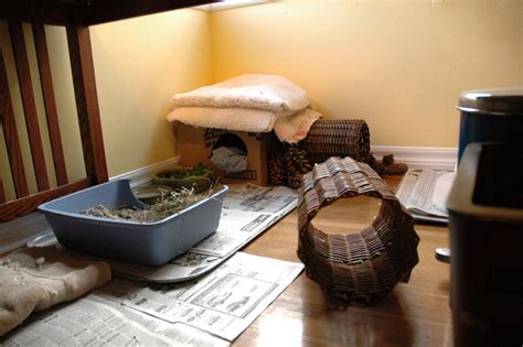 Exercise Setting Up Playgrounds