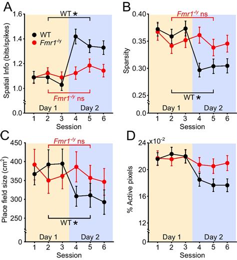experience dependent refinement of spatial coding in the ca1 pyramidal