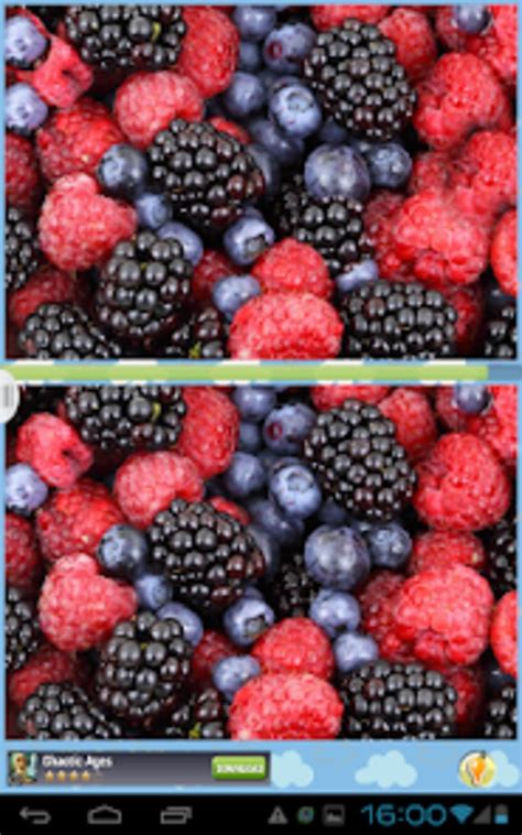 Android 용 Photo Differences Mega Pack 다운로드