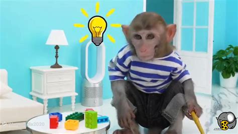 ویدئو کارتونی بچه میمون بازیگوش ماجراهای بچه میمون درخانه سیل می بیند