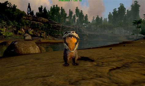 The Powerfulcute Apex Predatorprecious Rark