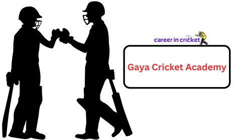 cricket academies find the best cricket academies near you