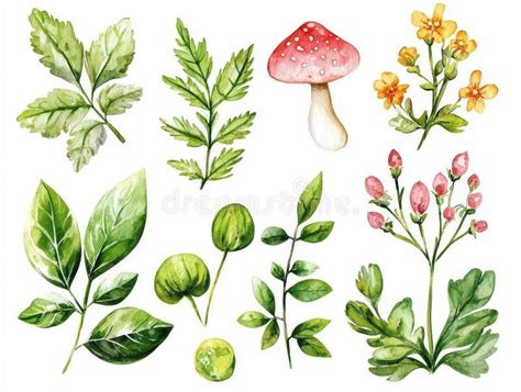 Watercolor Nature Motifs On White Background Decorative Design Element Generative Ai Stock