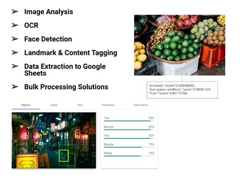 Images Photos Analyzed To Ocr Labeling Face And Landmark Detection Upwork