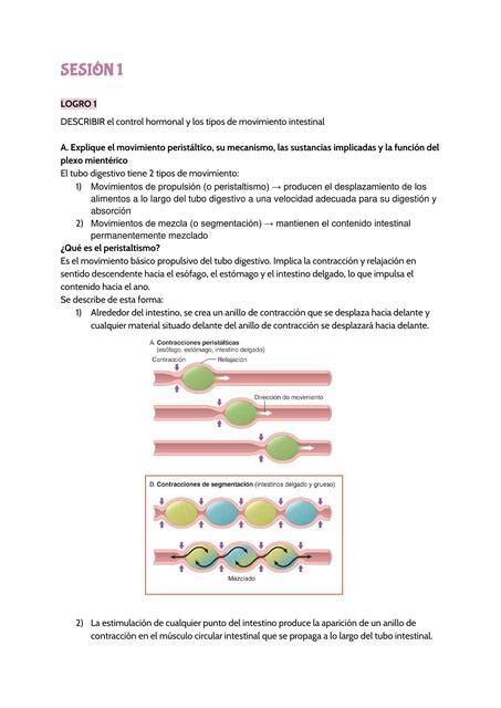 SesiÓn 3 Control Hormonal Hyakkimaru Kun Udocz