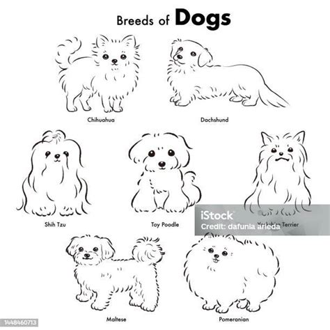 간단하고 귀여운 인기 개 품종 손으로 그린 선 그리기 벡터 일러스트 레이 션 세트 강아지 유치원에 대한 스톡 벡터 아트 및 기타