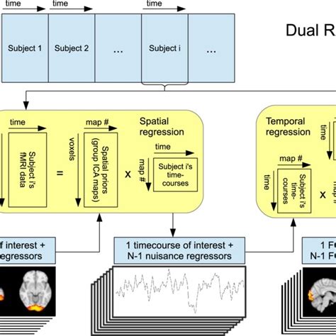 illustration of dual regression mapping visual cortex fc for a