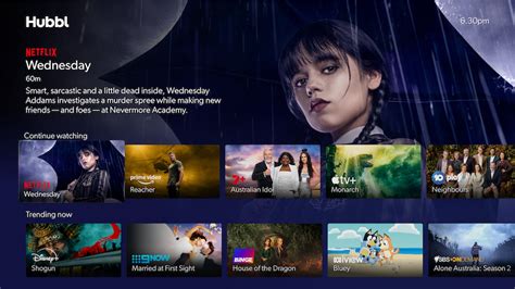 Foxtel Launches Hubbl Merging Free Tv 18 Apps Netflix And Steps Into