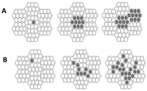 Models Of PMC Expansion Download Scientific Diagram
