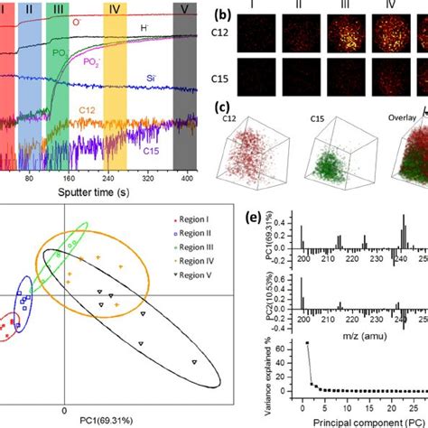 A Tof Sims Depth Profiling Of The Day 6 Biofilm Attached To The Sin Download Scientific