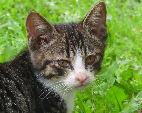 落石岬→霧多布岬♪ Pon 夫 ＆ 連れ 妻 さんの根室市（西エリア）の活動データ Yamap ヤマップ