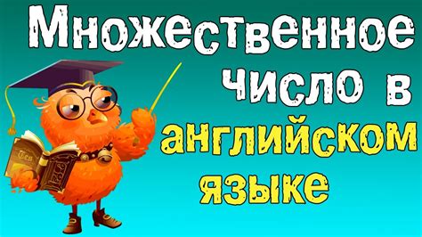 Грамматика английского языка Множественное число в английском языке Youtube
