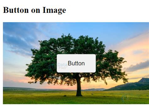 Html Button Tag Types Effects And Attributes Dataflair