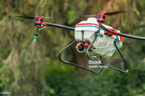 푸른 하늘에 날아다니는 액체 비료 탱크를 운반하는 농업 무인 항공기는 농업 지역에 살포 할 준비를합니다 무인 항공기에 대한 스톡 사진 및 기타 이미지 Istock