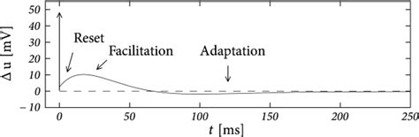 63 Biophysical Origin Of Adaptation Neuronal Dynamics Online Book