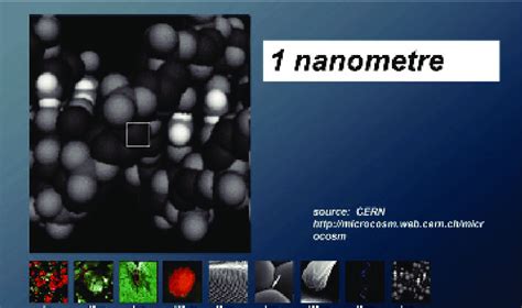 The Nanometer Scale Download Scientific Diagram