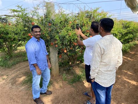 Srinivas Rao Choudam On Linkedin Pilot Testing Cropdoctorai
