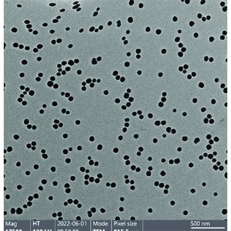 Tem Image Of Sio 2 Nanoparticles It Shows Nanoscale Uniform