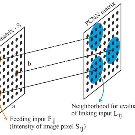 Structure Of Om Pcnn Neural Network Download Scientific Diagram
