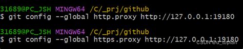 github 新手教程 含代理服务器和无代理服务器两种模式 github代理 csdn博客