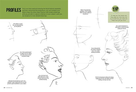 Step By Step Drawing Faces For Beginners