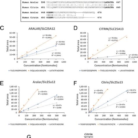 Function Of Mitochondrial Aspartate Glutamate Carriers Citrinslc25a13