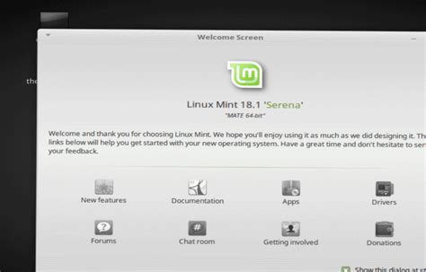 Installing Linux Mint 18 1 Serena Mate Edition 64bit Ghacks Tech News