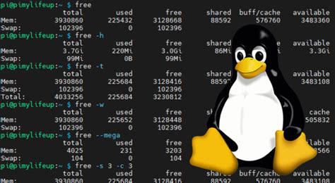 How To Use The Df Command In Linux Pi My Life Up