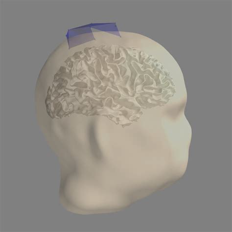 Compute Source Power Spectral Density Psd Of Vectorview And Opm Data — Mne 0221 Documentation