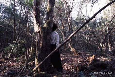Inspirasi Populer Aokigahara Forest Dead Bodies