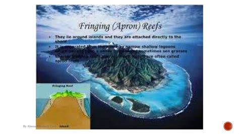 Coral Reef Types Pptx Geography Science