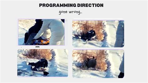 skinsoftware gmbh on linkedin itmemes skinsoftware programming