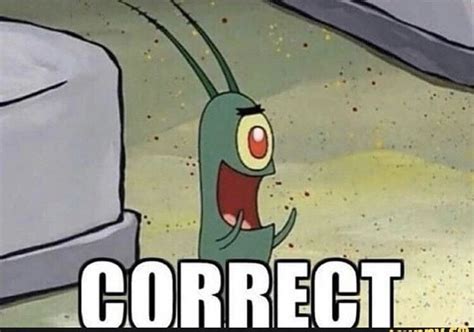 Correct Plankton Correct Meme Watch Spongebob Spongebob Square