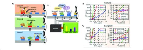 A Fabrication Schematic Of Heterogeneous Nanomaterial Array