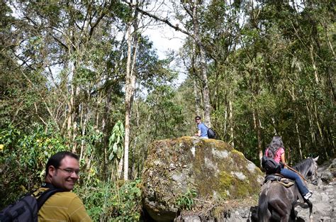 Dsc 2794  Ruby Ho Flickr