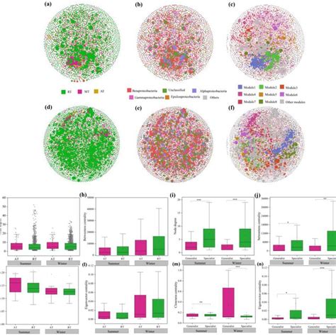 Species Composition Of Aerobic Denitrifying Bacteria In Baiyangdian Download Scientific Diagram