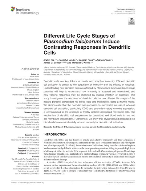 Pdf Different Life Cycle Stages Of Plasmodium Falciparum Induce