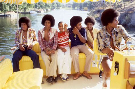 Janet Jackson Related To Stevie Wonder Tracy Chapman Samuel Jackson