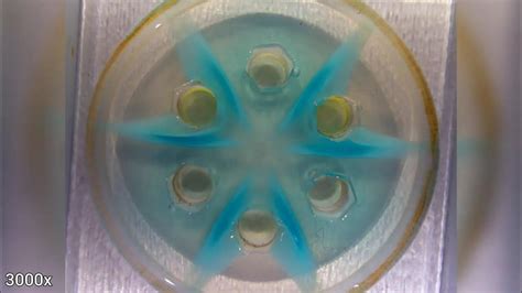 Cuso4 Na3po4 🧫 Youtube